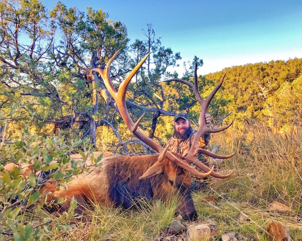 New Mexico Elk Hunts - Triple C Outfitters